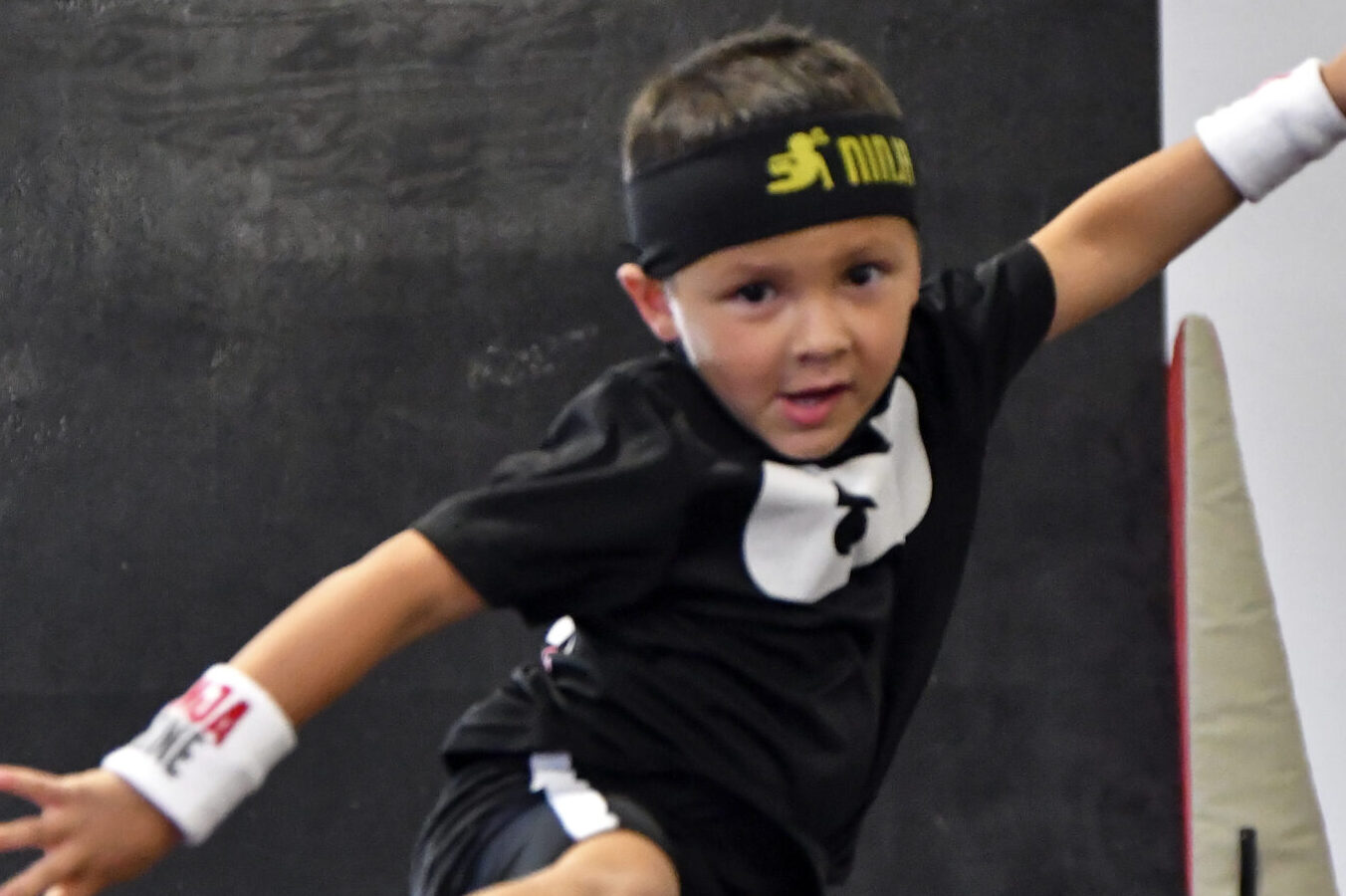 Discover the Ultimate Ninja Zone Training Program